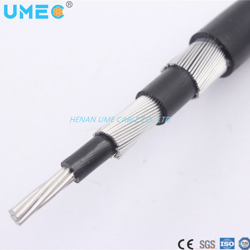 LV XLPE Insulation Concentric Cable Peru Market With Third Party ...