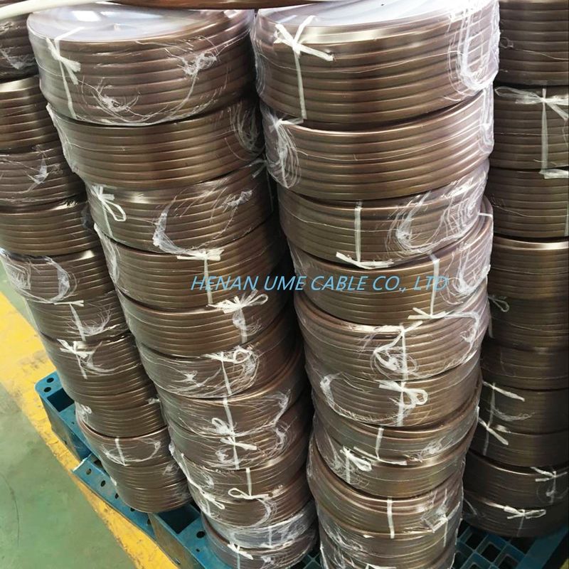 BVVB E Twin Earth Electric Cable Solid/Stranded Copper Twin and Earth ...
