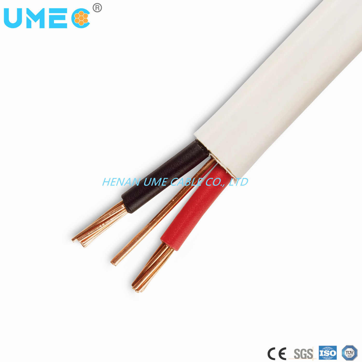 Solid Strand Conductor PVC Insulated PVC Sheathed Wire BVVB OEM for ...